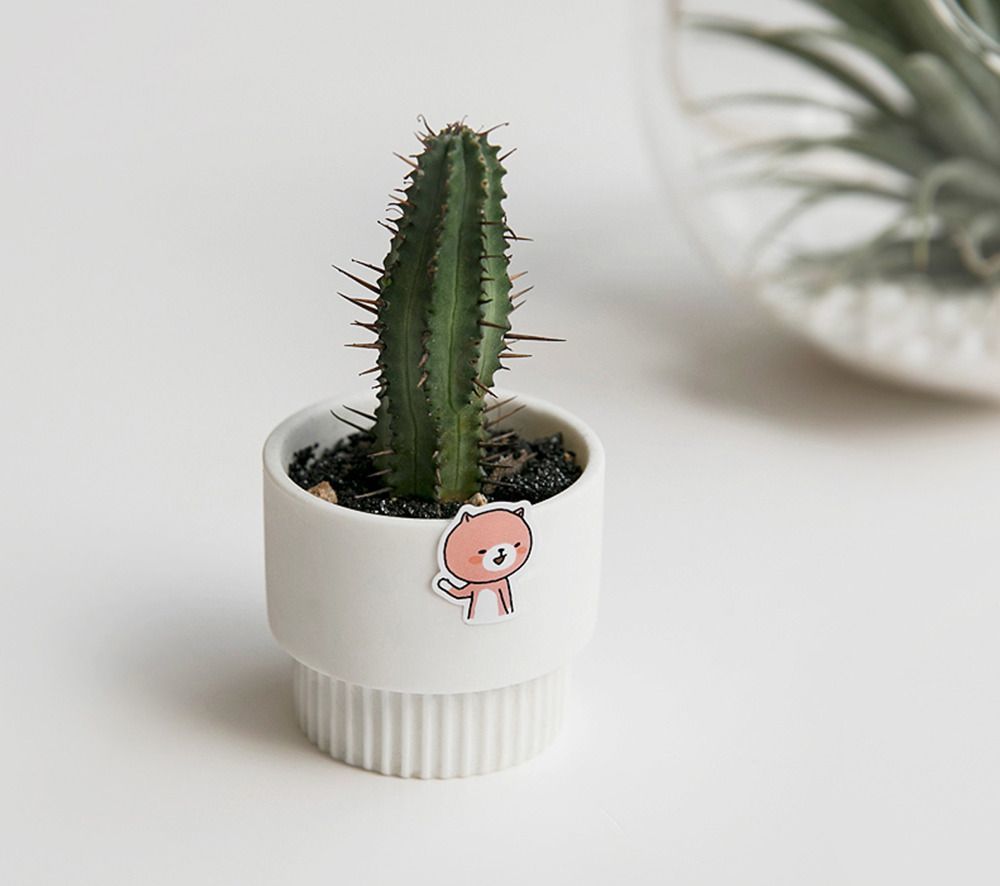 MochiThings: Excited Cat Paper Deco Sticker