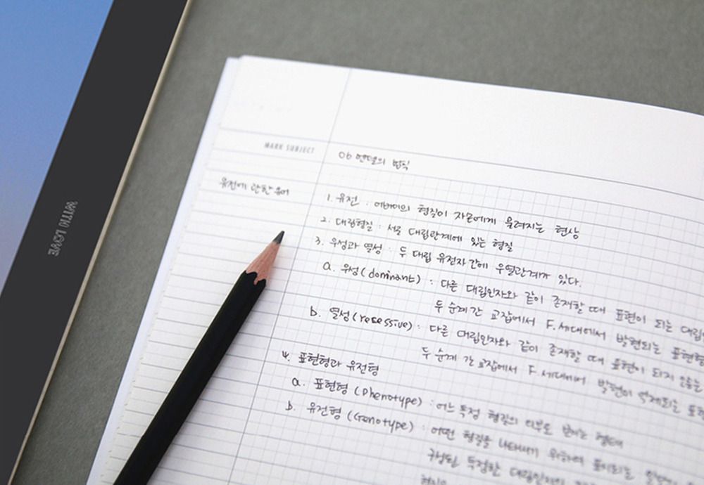 MochiThings: Vintage Class Notebook v2