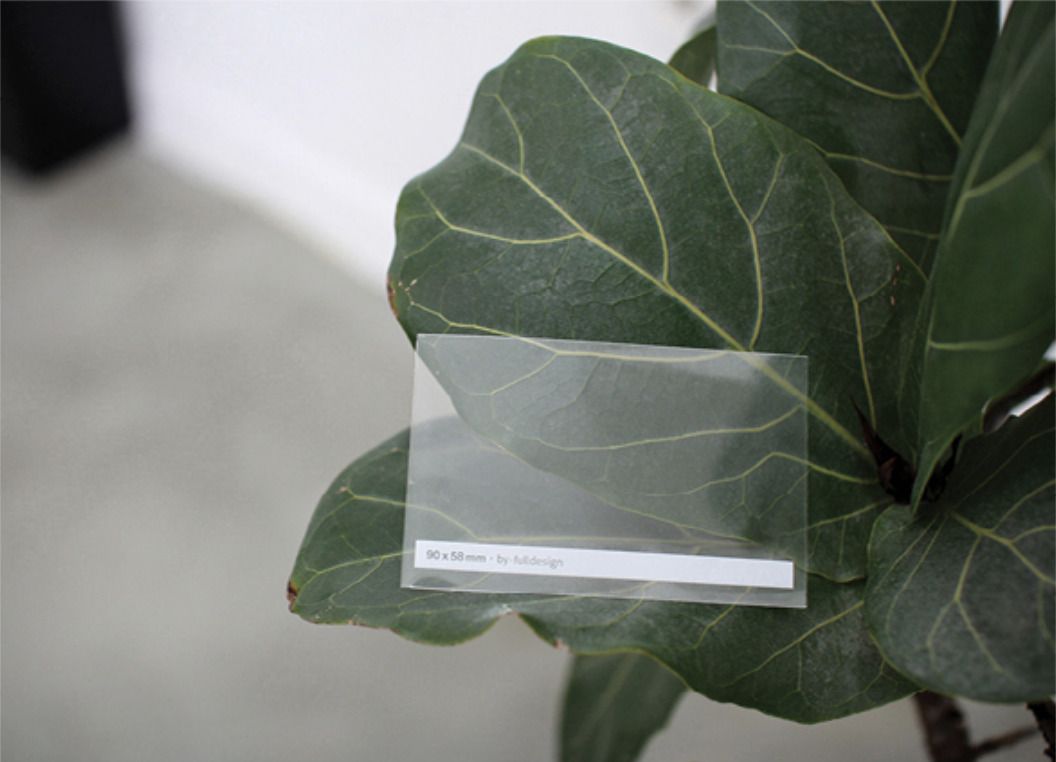 MochiThings: Ticket Pocket Set