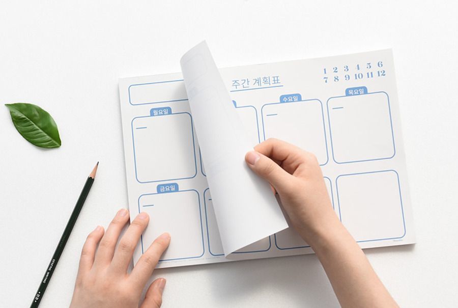 MochiThings: Retro Weekly Planner Pad