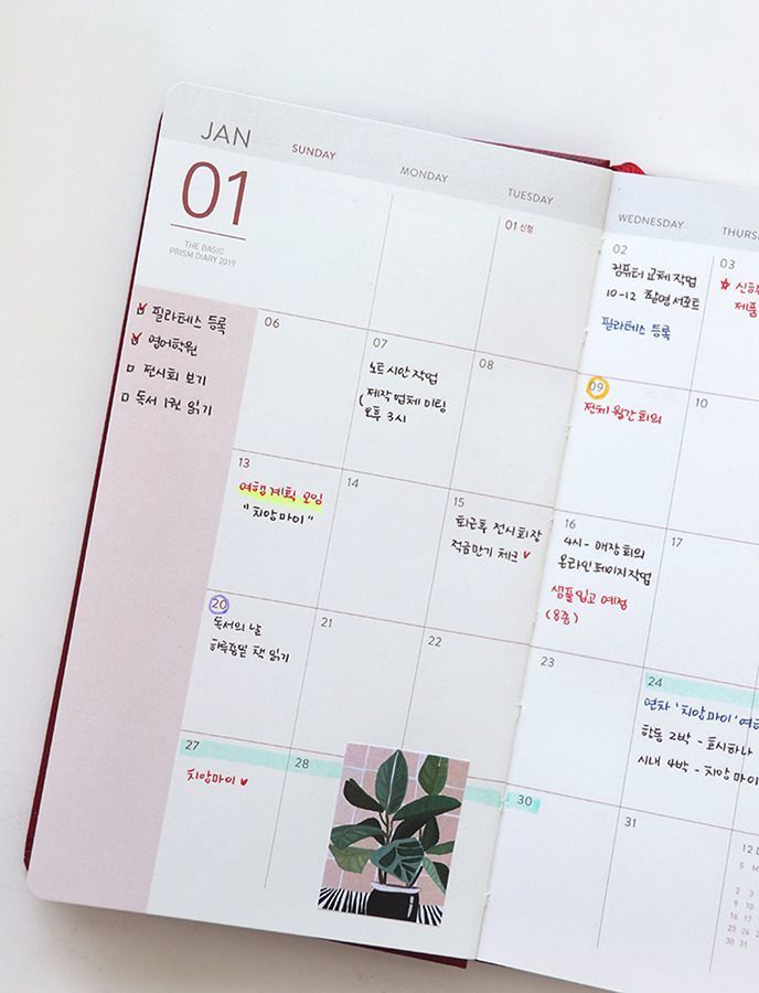 MochiThings: 2019 Prism Slim Planner