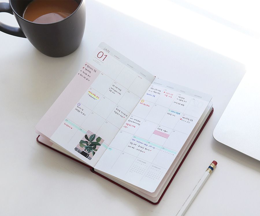MochiThings: 2019 Prism Slim Planner