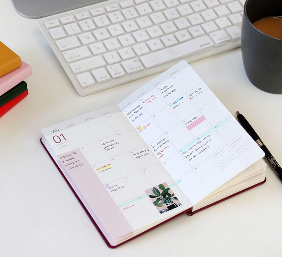 MochiThings: 2019 Prism Slim Planner