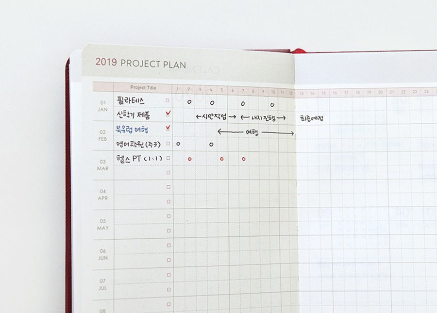 MochiThings: 2019 Prism Slim Planner