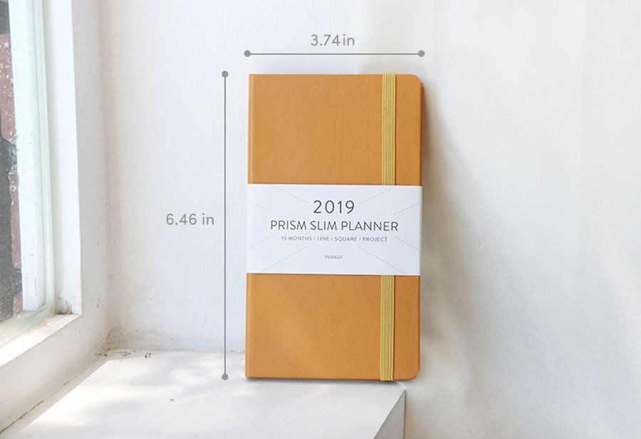 MochiThings: 2019 Prism Slim Planner