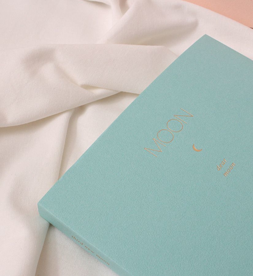 MochiThings: 2019 Large Moon Weekly Scheduler