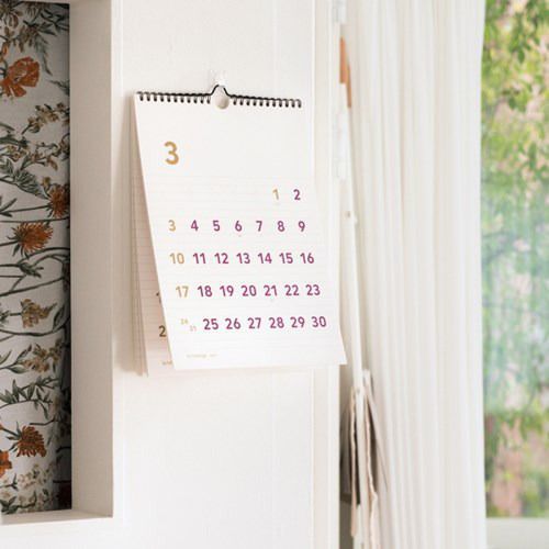 MochiThings: 2019 Large Basic Wall Calendar