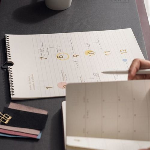 MochiThings: 2019 Large Basic Wall Calendar