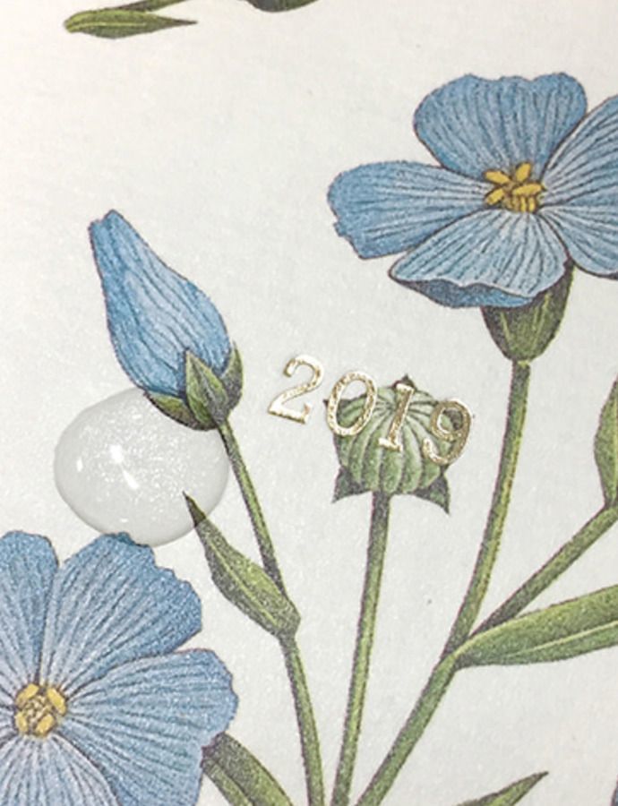MochiThings: 2019 Florence Daily Planner