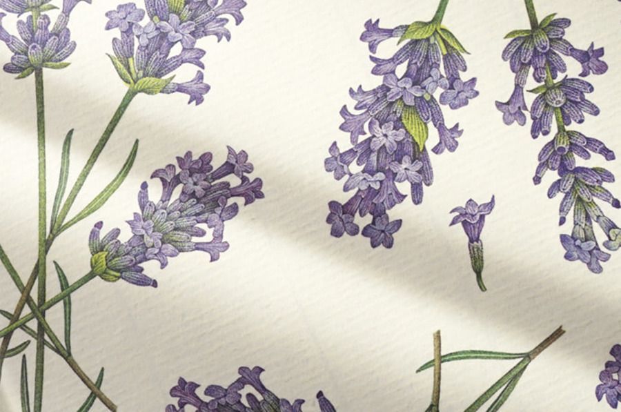 MochiThings: 2019 Florence Daily Planner