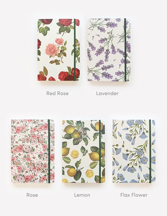 MochiThings: 2019 Florence Daily Planner