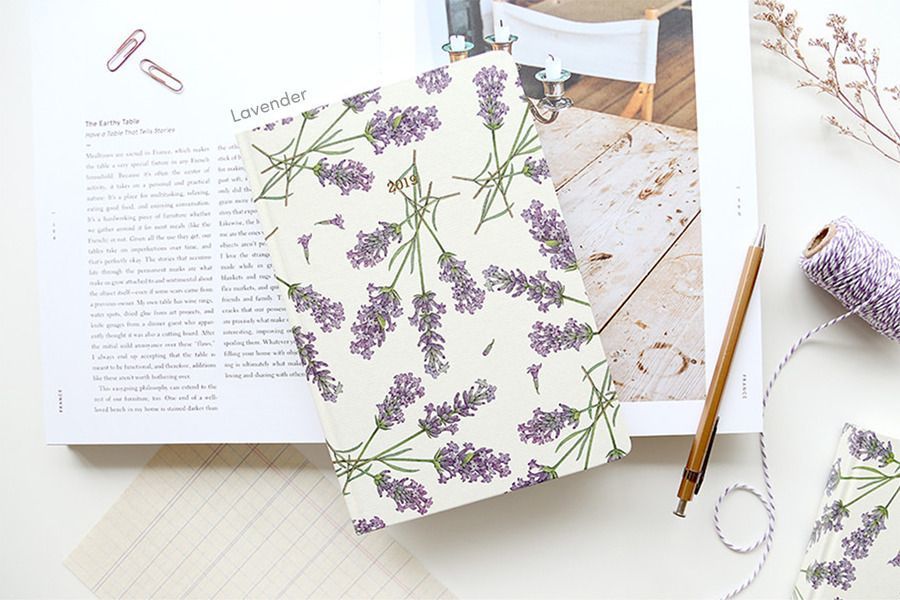 MochiThings: 2019 Florence Daily Planner