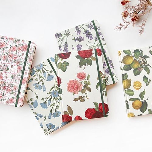 MochiThings: 2019 Florence Daily Planner