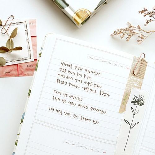 MochiThings: 2019 Florence Daily Planner