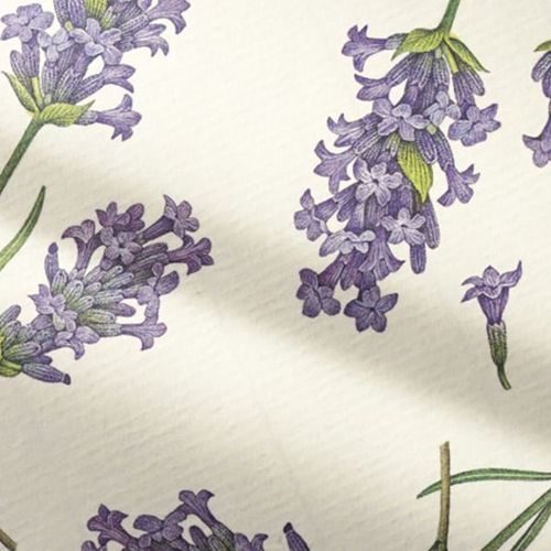 MochiThings: 2019 Florence Daily Planner