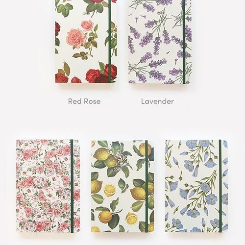 MochiThings: 2019 Florence Daily Planner