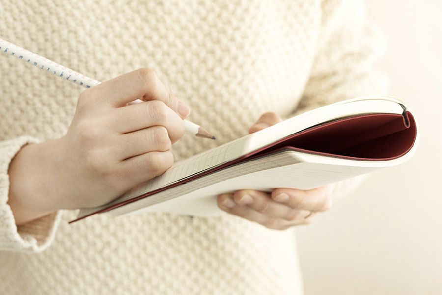 MochiThings: Large Agenda Notebook v4