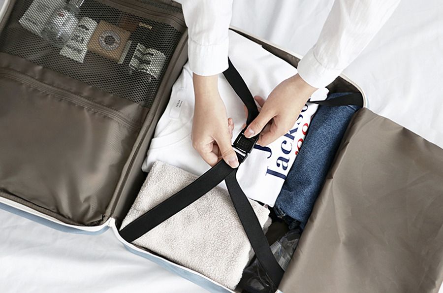 MochiThings: Large Wind Blows Travel Bag