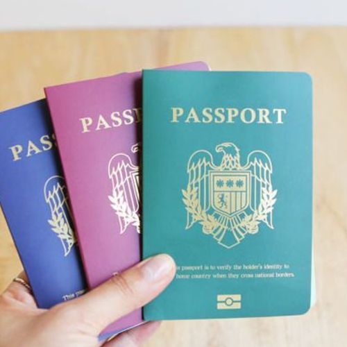 MochiThings: Passport Sticky Note Set