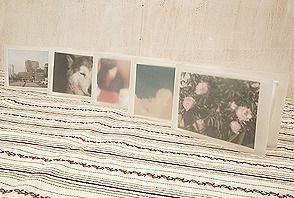 MochiThings: 3x5 Transparent Photo Album Set