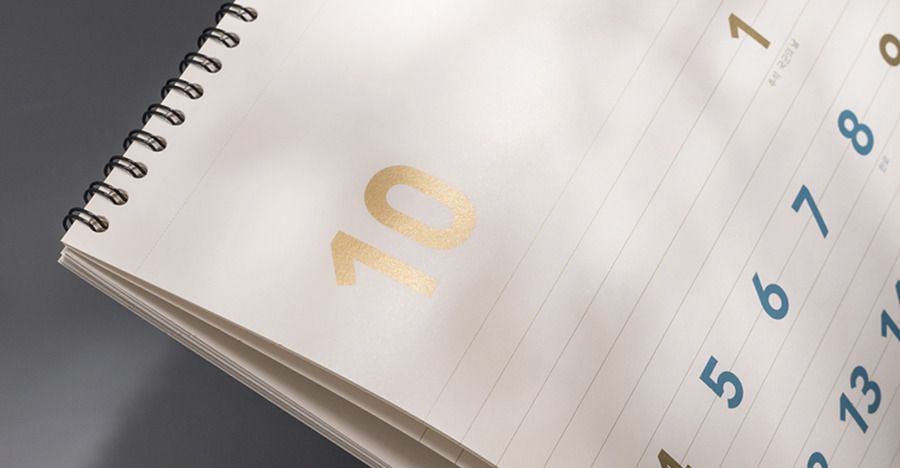 MochiThings: 2020 Large Basic Wall Calendar