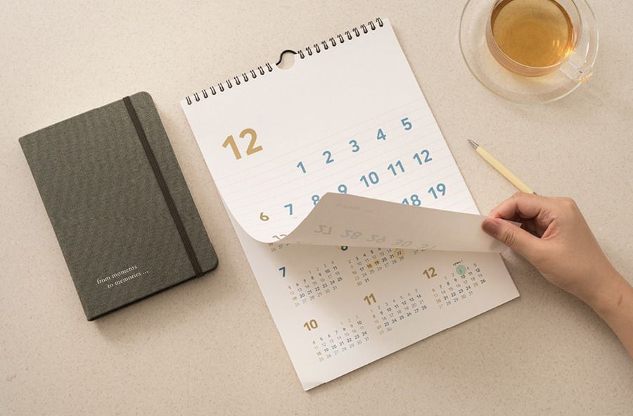 MochiThings: 2020 Large Basic Wall Calendar