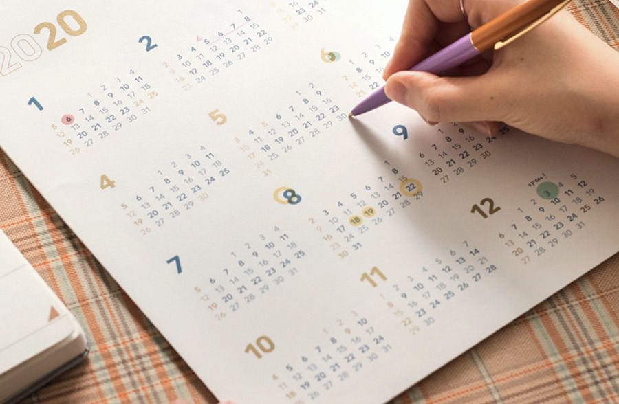 MochiThings: 2020 Large Basic Wall Calendar