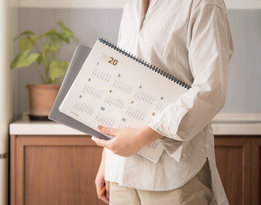MochiThings: 2020 Wide Basic Desk Planner