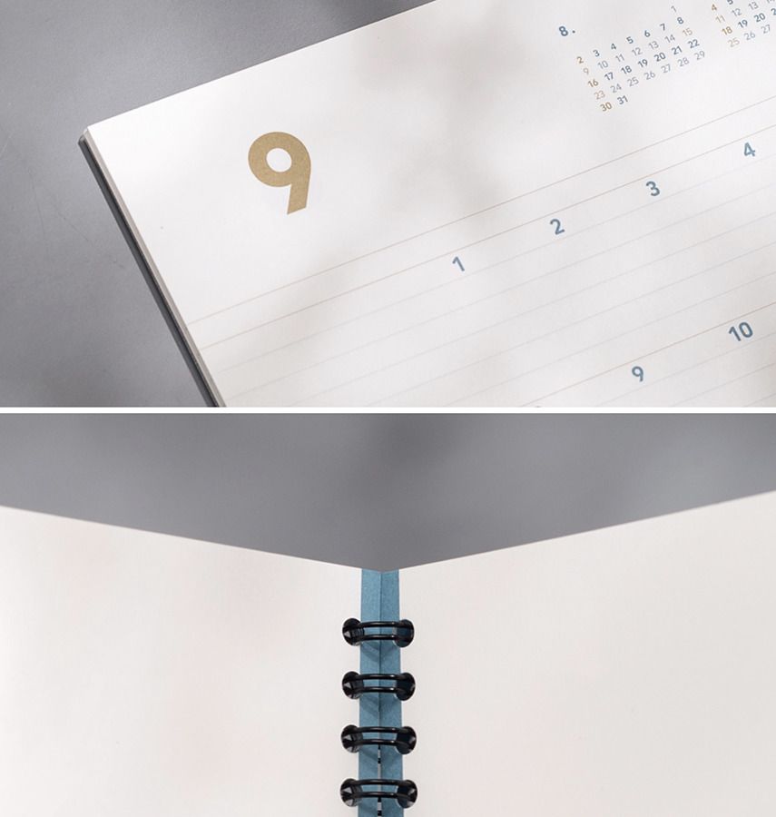 MochiThings: 2020 Wide Basic Desk Planner