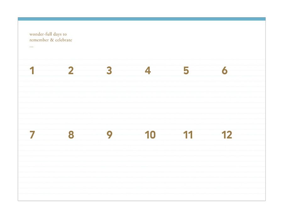 MochiThings: 2020 Wide Basic Desk Planner