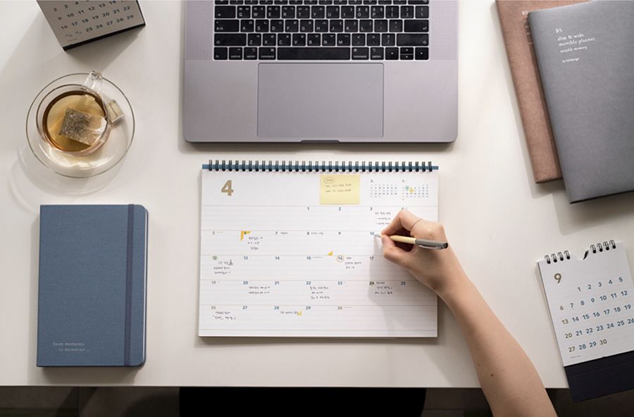 MochiThings: 2020 Wide Basic Desk Planner
