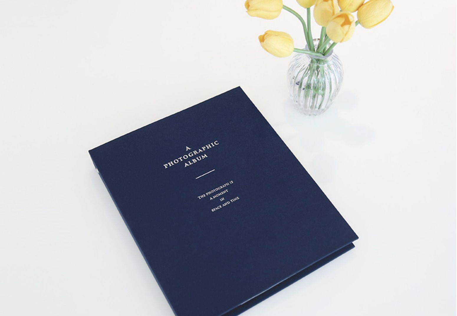 MochiThings: Photographic 3-Ring Binding Album