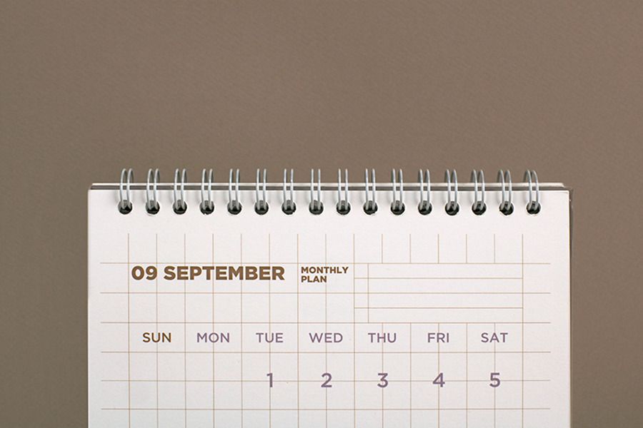 MochiThings: 2020 My Schedule Keeper Desk Calendar