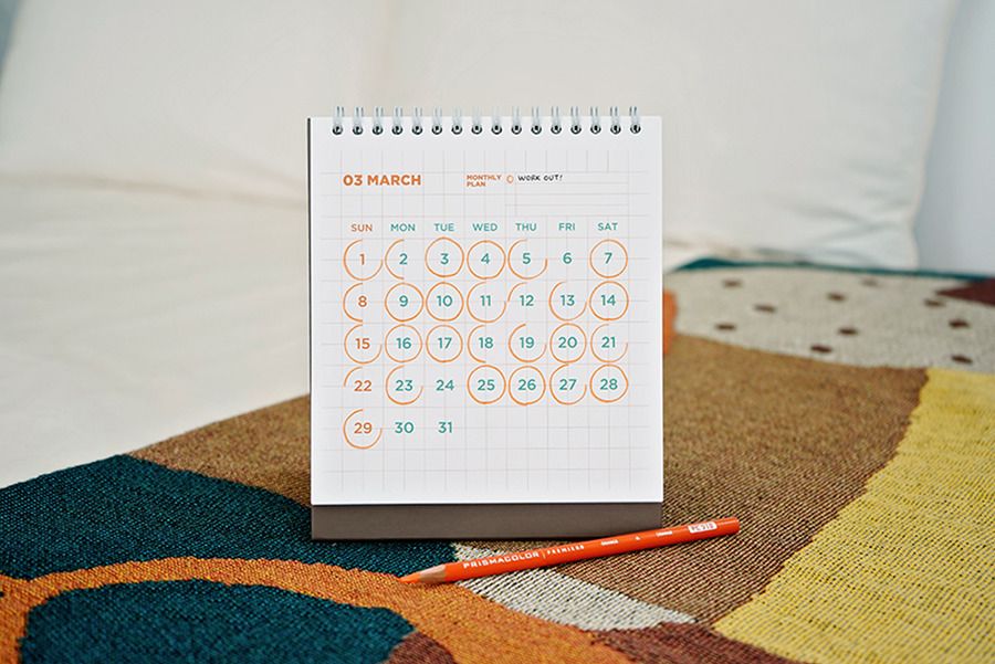 MochiThings: 2020 My Schedule Keeper Desk Calendar