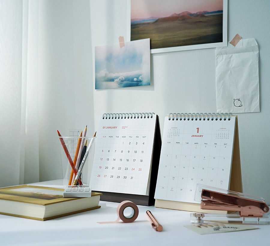 MochiThings: 2020 My Schedule Keeper Desk Calendar