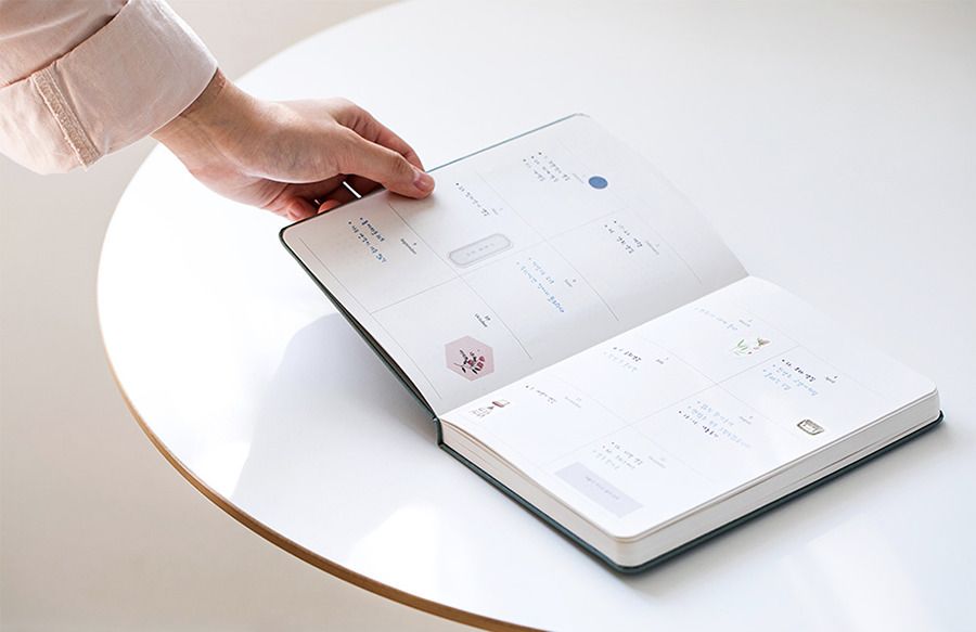 MochiThings: 2020 Object Daily Planner