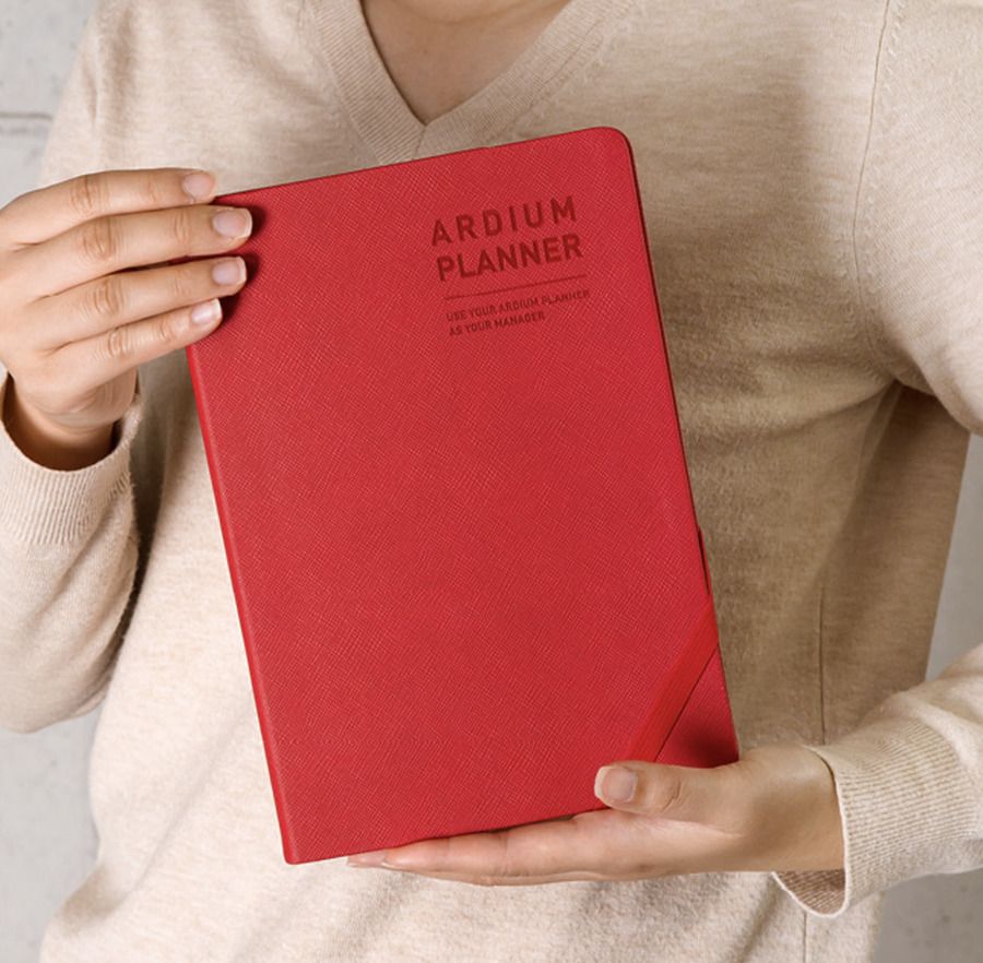 MochiThings: 2020 Large Ardium Planner