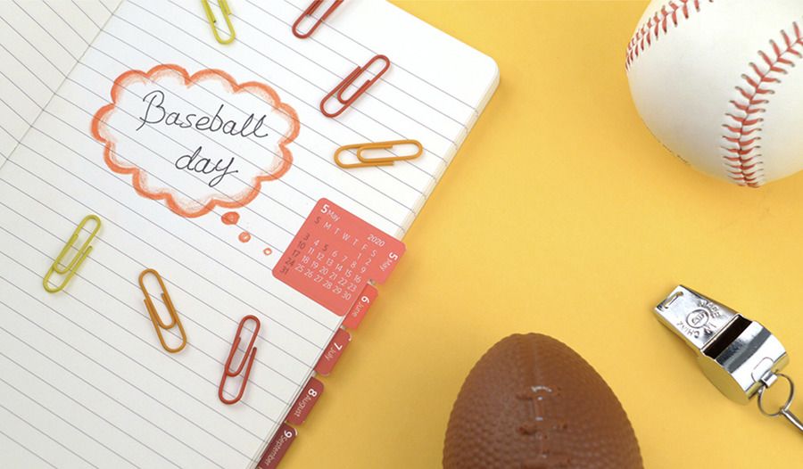 MochiThings: 2020 Colorful Calendar Index Sticker