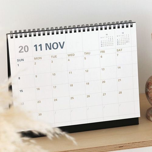 MochiThings: 2020 Prism Desk Calendar