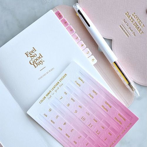 MochiThings: Color Wave Leather Index Sticker